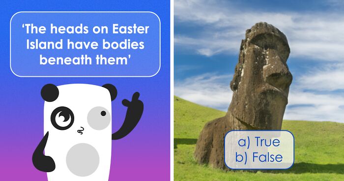 “Think You Know Useless Facts?”: This 35-Question Challenge Will Test ...