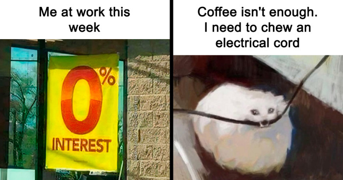 30 Work Memes To Fill That Existential Void With Laughter (New Pics)