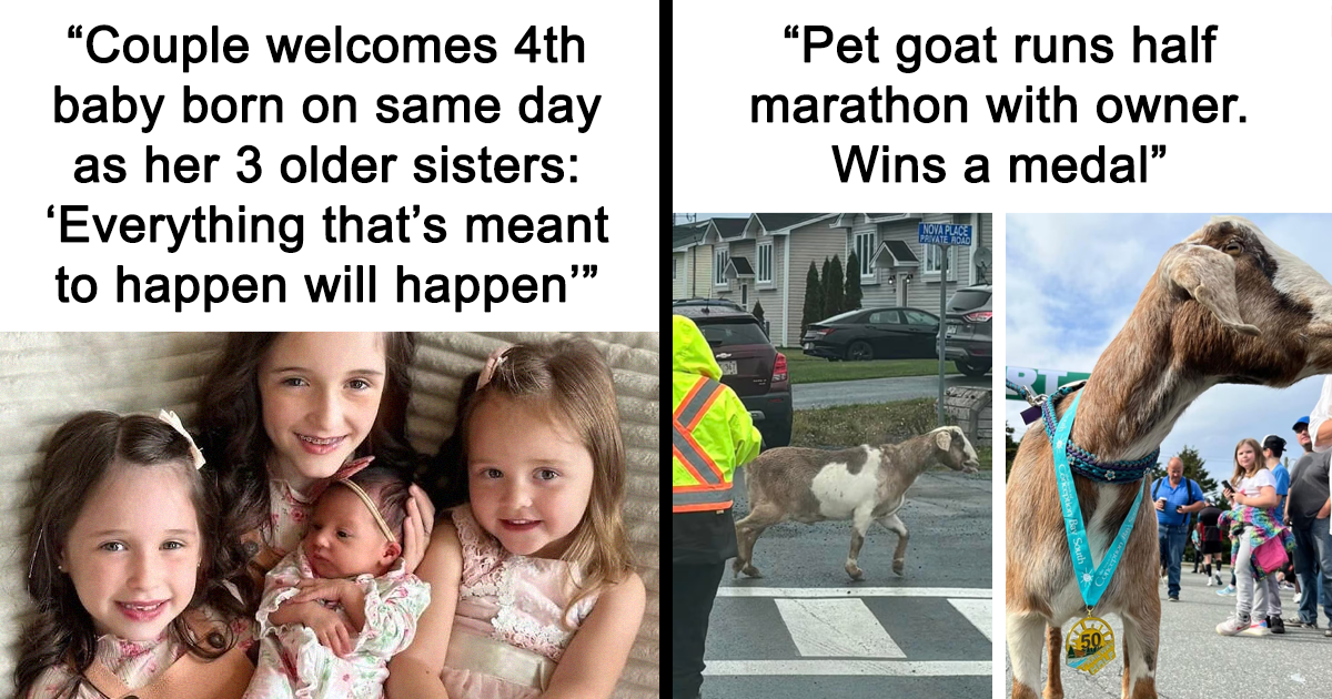 50 Positive Headlines That Might Bring Some Sunshine To Your Day (New ...