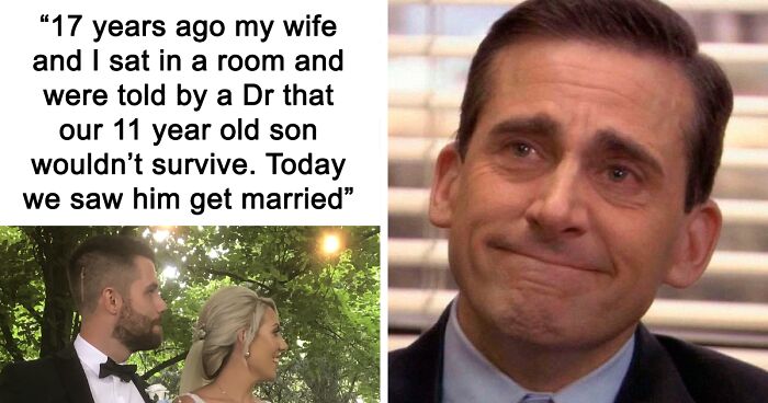50 Positive Headlines That Might Bring Some Sunshine To Your Day (New Pics)