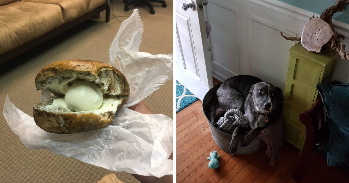 Misunderstandings That Resulted In These 50 Hilarious Fails | Bored Panda