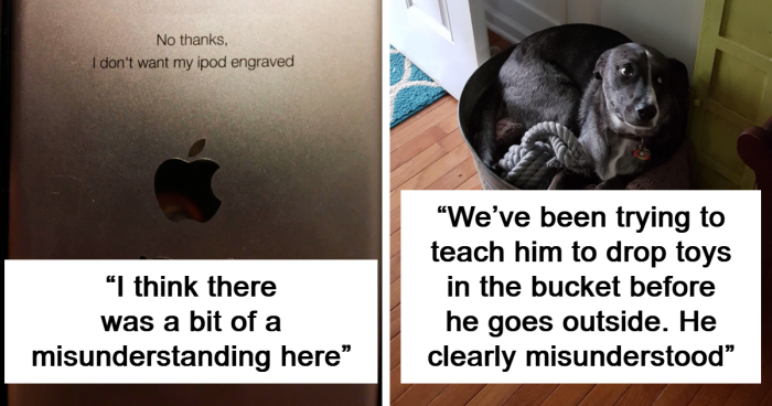 Misunderstandings That Resulted In These 50 Hilarious Fails