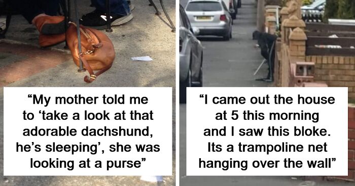 Misunderstandings That Resulted In These 50 Hilarious Fails