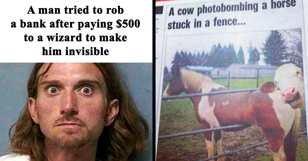 50 Wild Incidents That Would Be Hard To Believe If They Hadn’t Made The ...