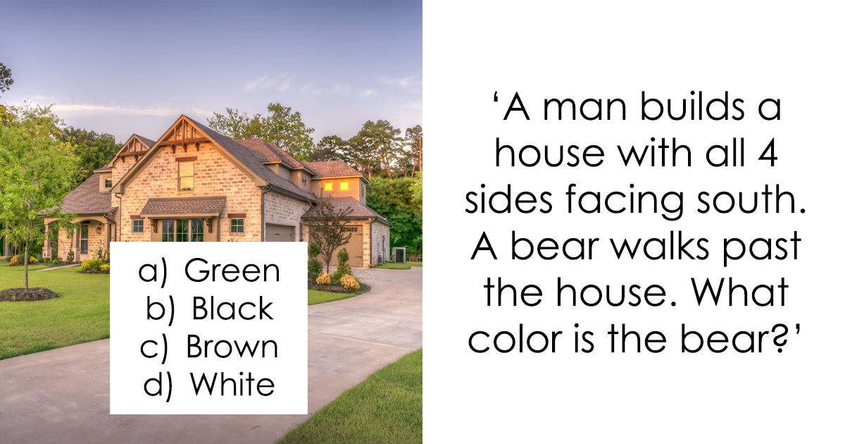 Solve These 30 Mind-Bending Puzzles And Show Off Your Pattern-Spotting ...