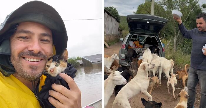 One Man Who Changed Countless Lives Of Stray Animals Over 25 Years ...