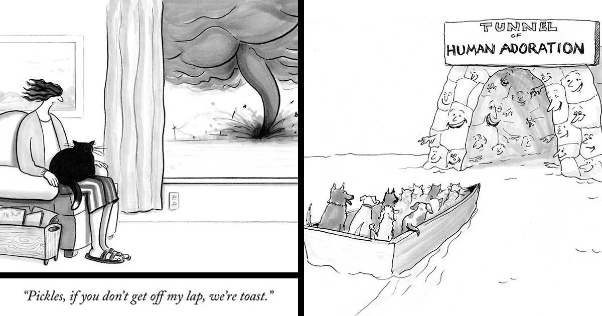 Artist Created 27 Comics That Might Make You Laugh, Then Rethink ...