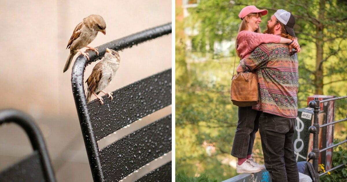 André’s 30 Captivating Street Photos Reveal The Soul Of Oslo And ...