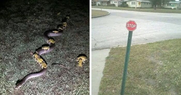 50 Times People Were So Stunned By What They Were Seeing, They Had To ...