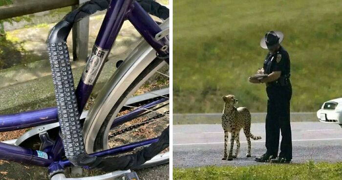 50 Times People Were So Stunned By What They Were Seeing, They Had To ...