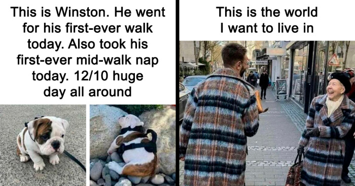 50 Feel-Good Memes And Pics To Help You Escape The Negativity (New Pics)