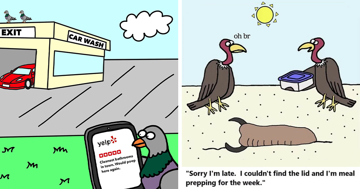 Google Sheri Memes My Admin Panel