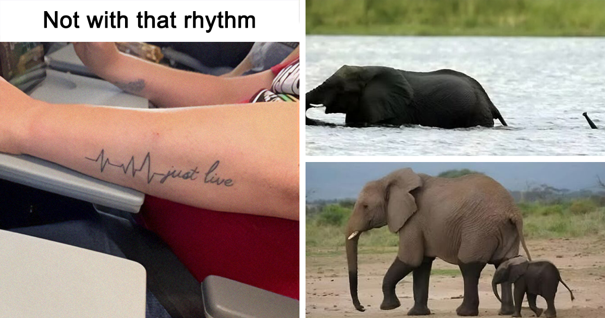 50 Science Memes From ‘Trust Me, I’m A “Biologist”’ That Might Make You ...