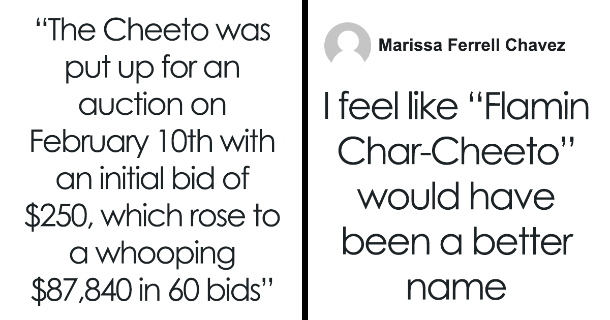 Viral Pokémon-Shaped Cheeto Sells For Almost $88K At An Auction | Bored ...