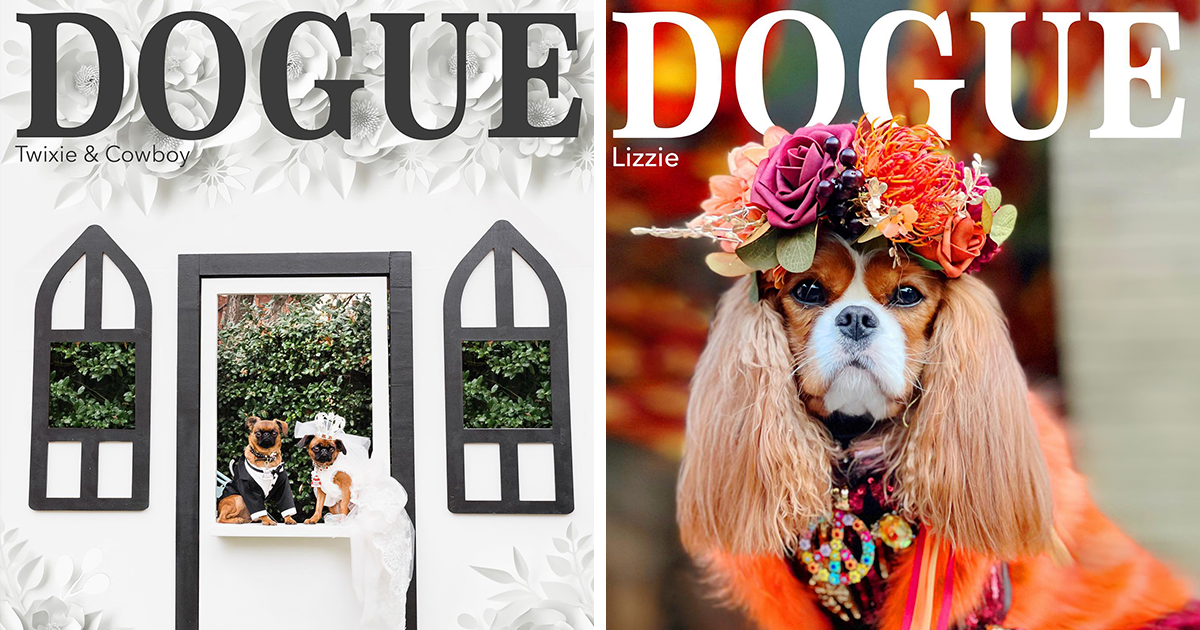 Dogue: 24 Cover Images Of Playful Fashion Dog Parody Of Vogue Magazine ...