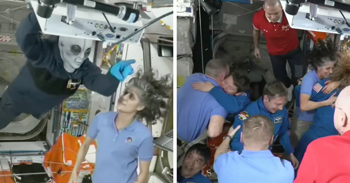 “Houston, Thank You”: SpaceX Crew Arrives At ISS To Bring Stranded NASA ...