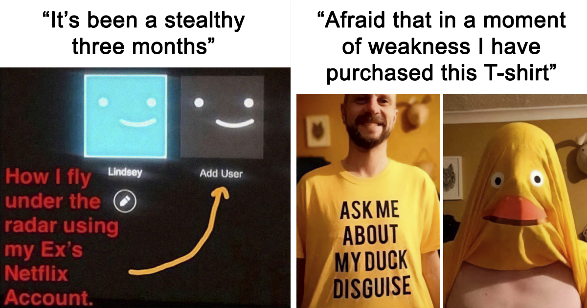 50 Random Funny Memes That You Might Want To Treat Yourself To (New ...