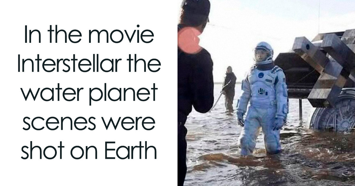 114 Literal Memes That Are Hilariously Straight To The Point (New Pics)