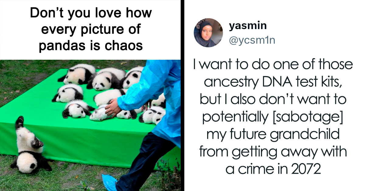 Just 50 Random But Hilarious Memes To See You Through Another Manic ...