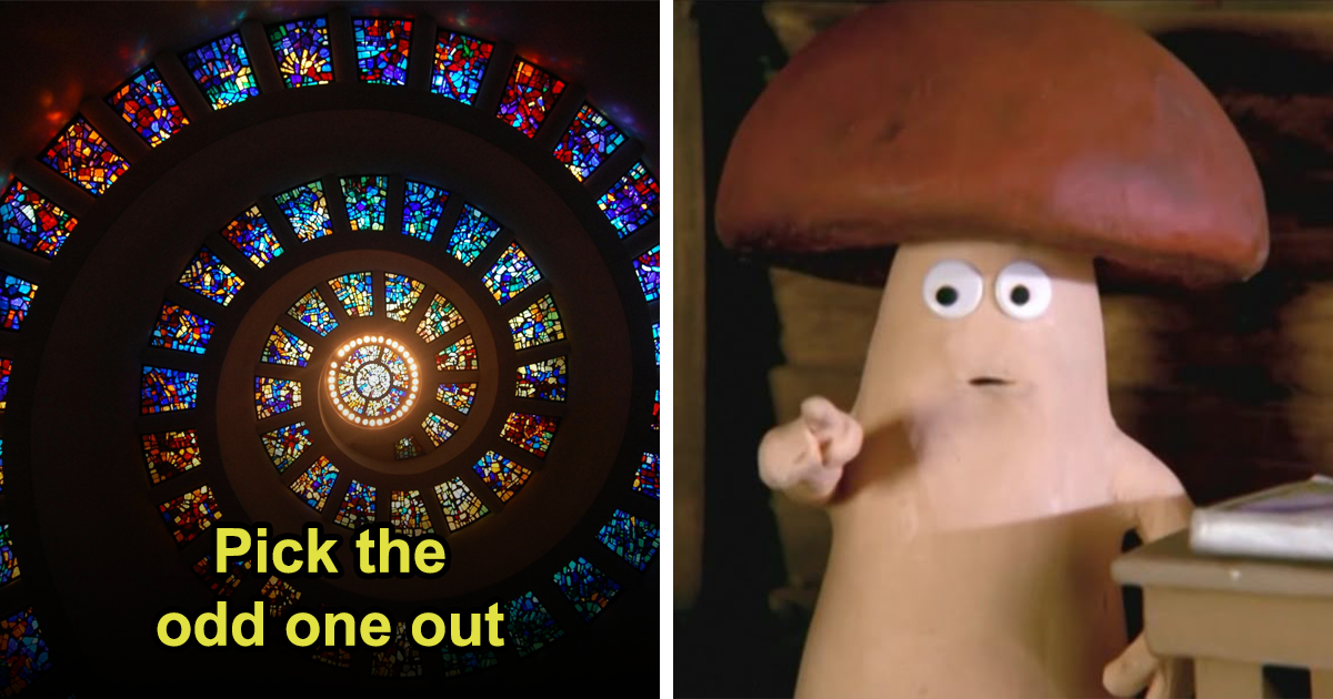 Puzzle Your Brain: 24 Odd One Out Questions That’ll Test Your Deduction ...