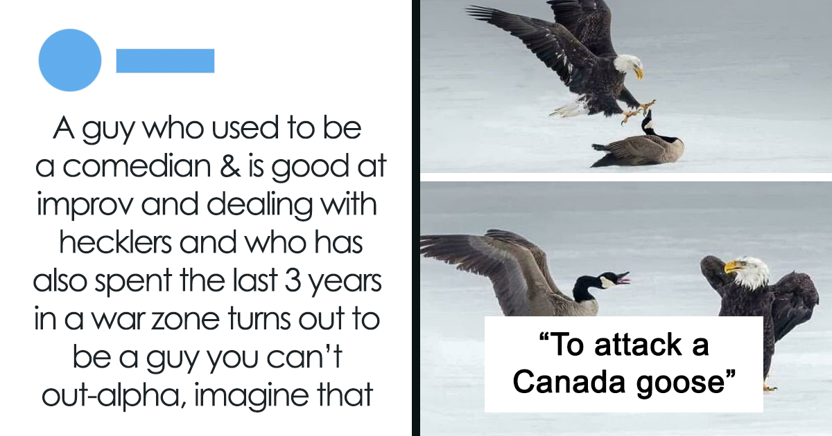 35 Hilarious Attempts That Failed Spectacularly (New Pics) | Bored Panda