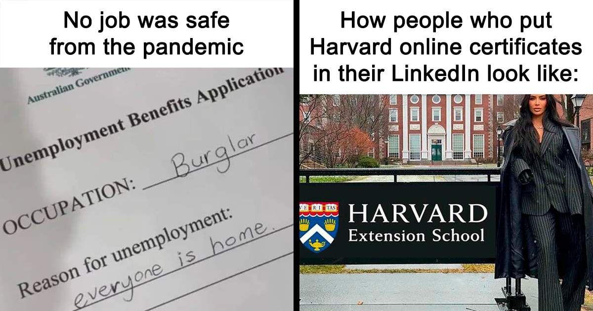 “White Collar Humor”: 50 Work Memes That Might Make You Laugh, Then Cry ...