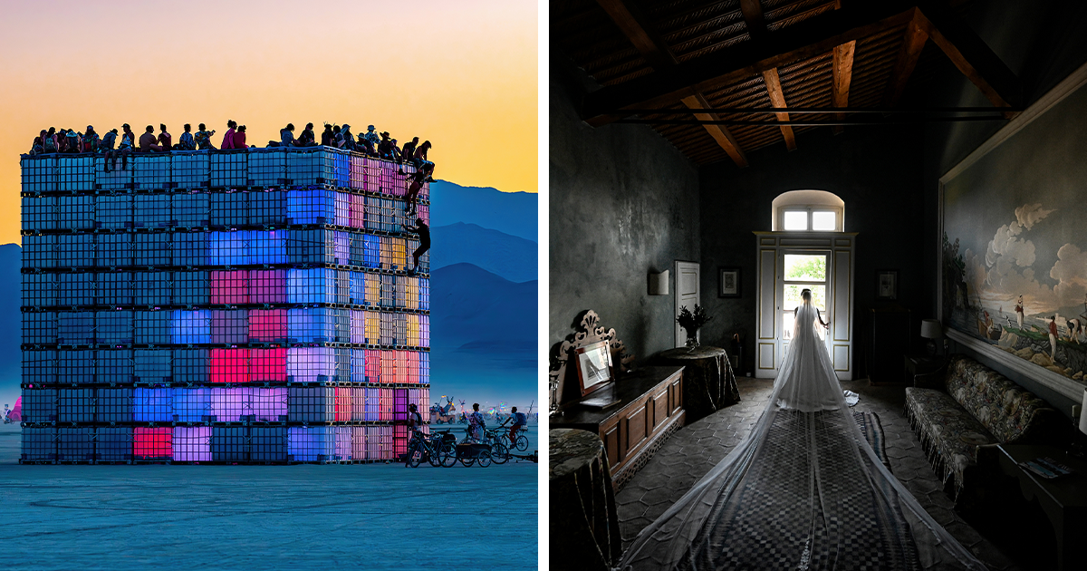 IPA 2024: Best Photographs Capturing Unforgettable Moments (20 Pics ...