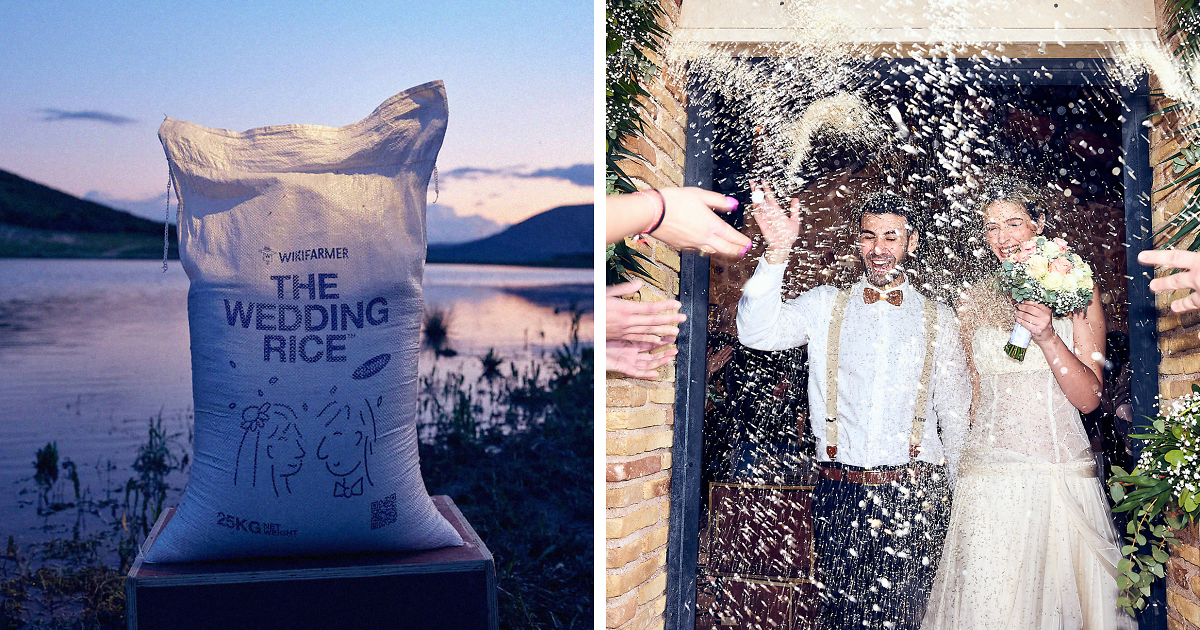 Why rice at a wedding | Beachweddingtips.com