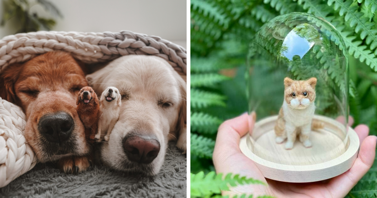 35 Adorable Mini Pets Made Of Felt By This Talented Artist | Bored Panda