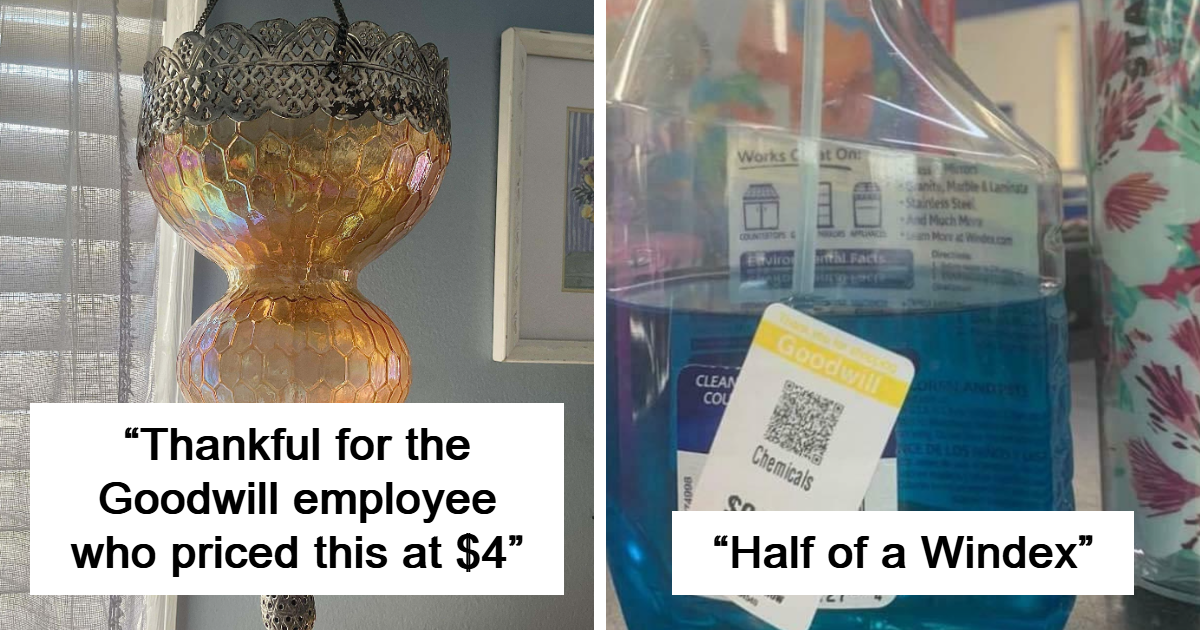 40 Times Goodwill Surprised People With Their Hidden Gems Or Bizarre ...