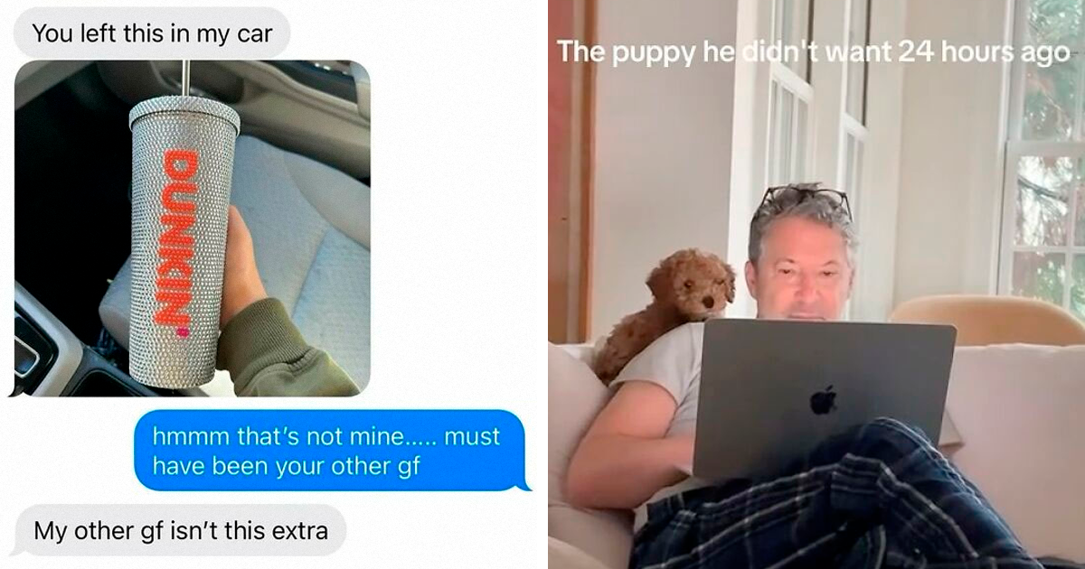 50 Hilarious Memes For You To Scroll Through When You Need To Look Busy ...