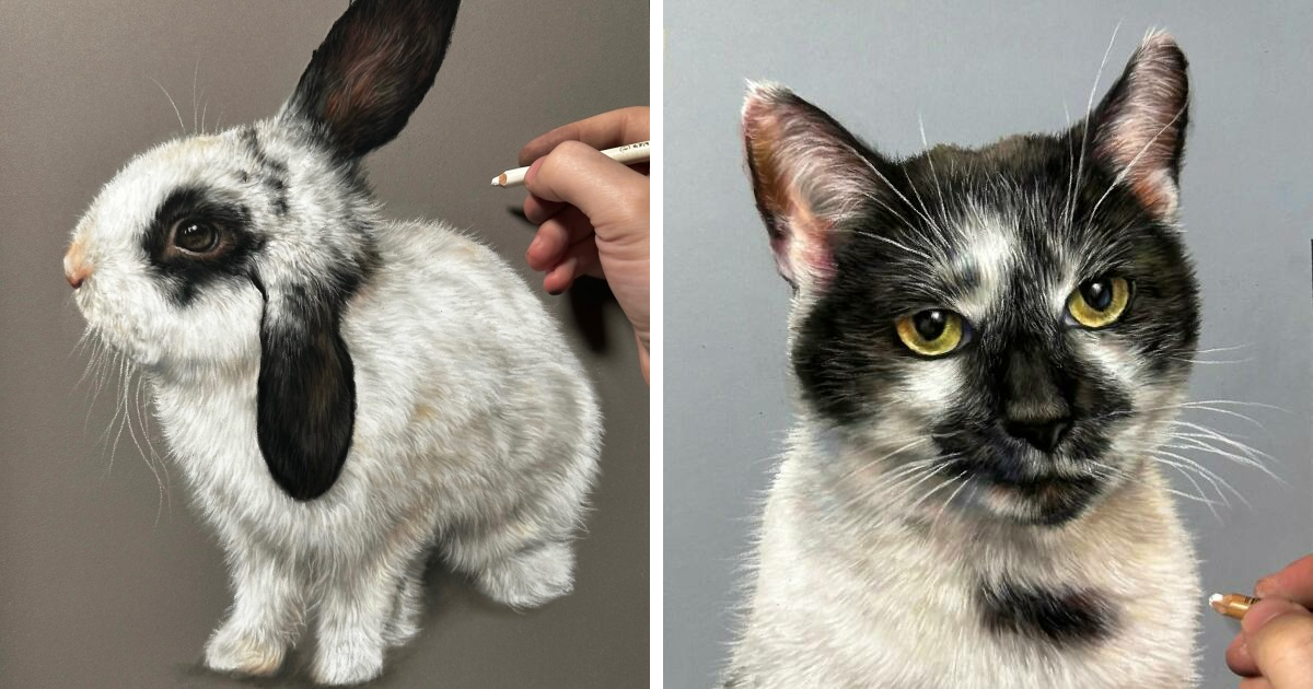 Hyperrealistic Pencil Drawings: 40 Animal Portraits Done By The ...
