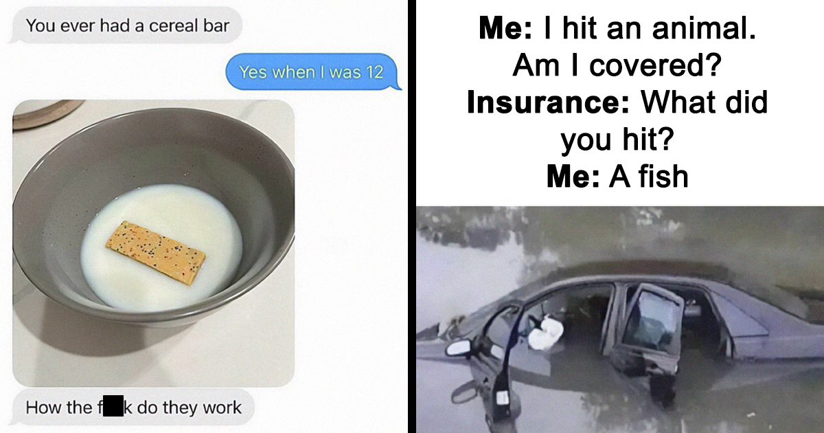 50 Random And Relatable Memes That Might Make You Laugh (New Pics ...