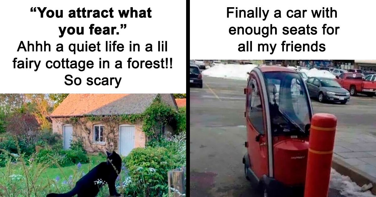 50 Funny And Relatable Memes To Scroll Through While Your Social ...