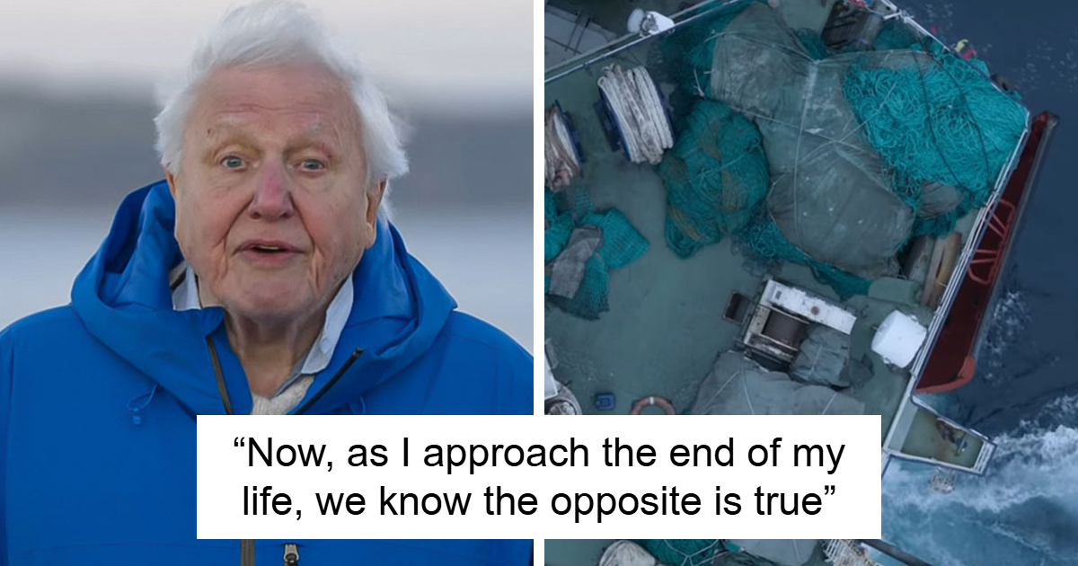 David Attenborough Says He Is Nearing | Bored Panda