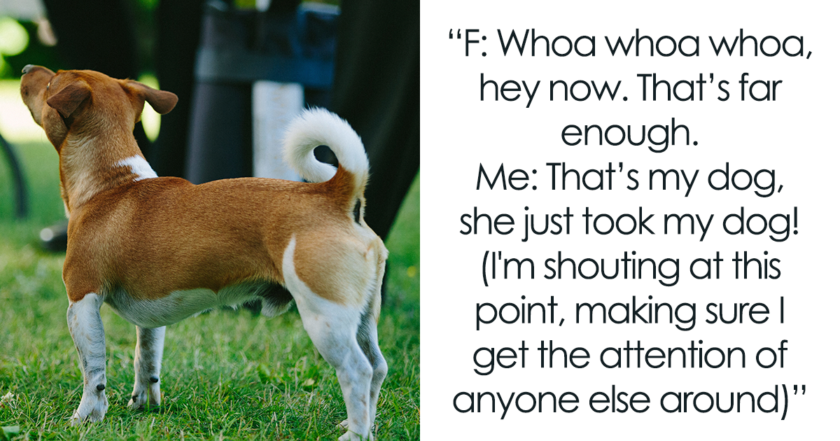 Kids Attempt Dognapping At Park, Owner In For A Surprise When He Tries ...