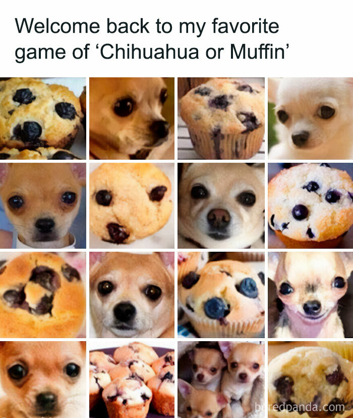 149 Hilarious And Super Funny Memes To Scroll Through Because You Have ...