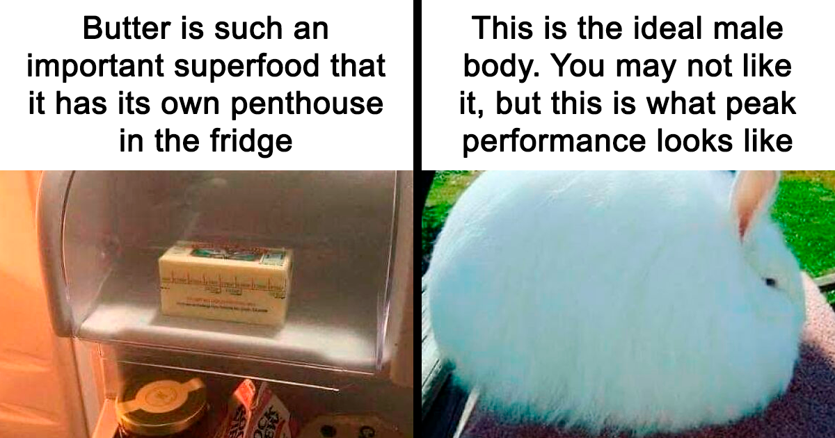 ‘The Daily Laughs’: 50 Ridiculously Good Memes To Improve Your Day ...