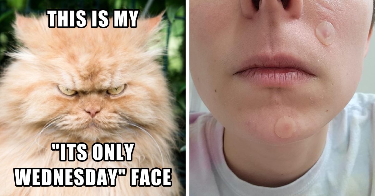 24 Reasons Wednesday Might Actually Not Totally Suck This Week | Bored ...