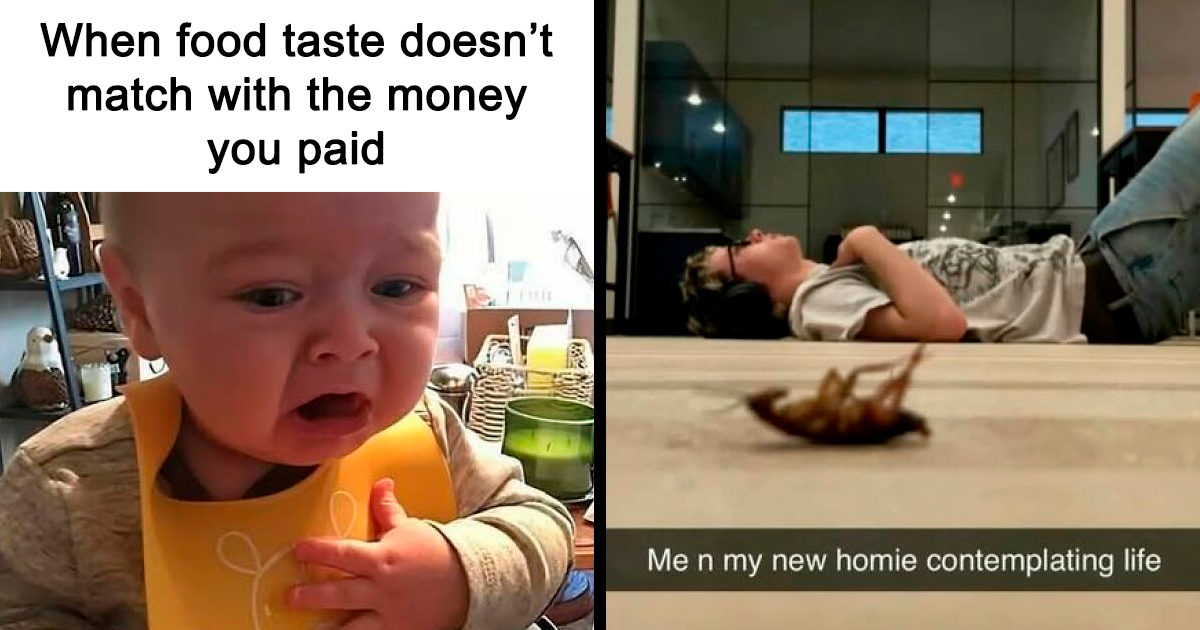 Over 500K People Like Scrolling This Meme Page And These Are 50 Of The ...