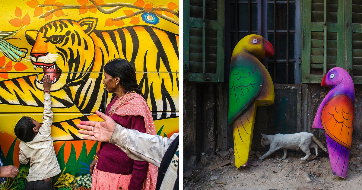 "Chasing Colors": I Tried To Capture The Colorful Soul Of Street ...