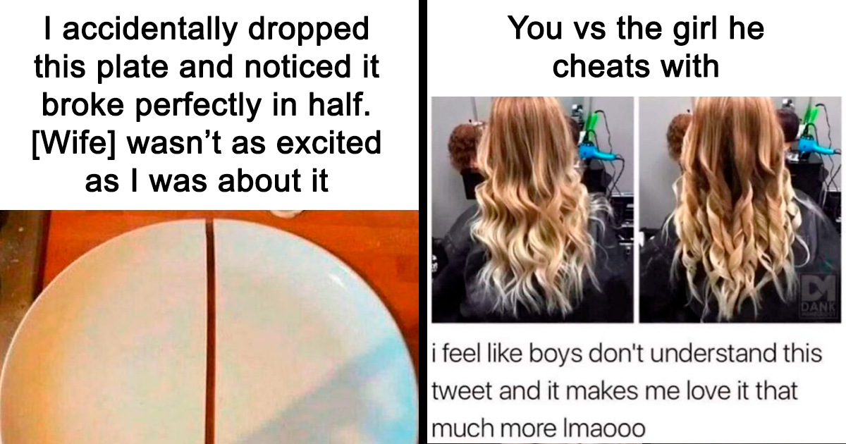 "You're Too Dense To Understand?": 50 People Explain Memes To Others ...