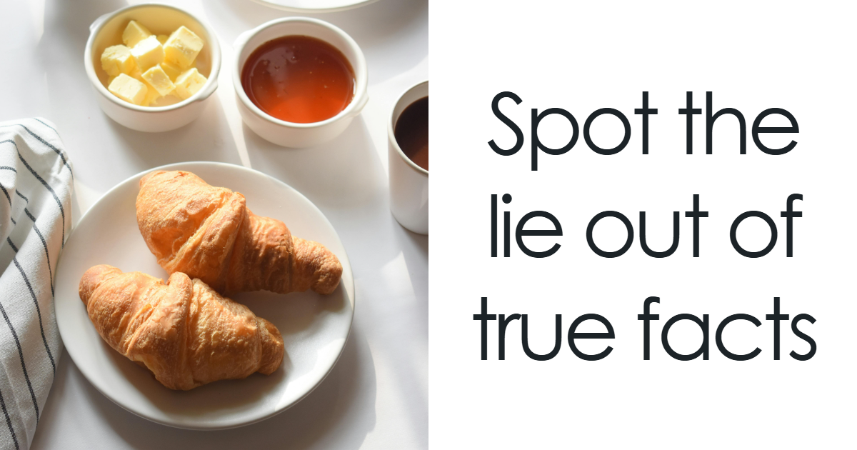 “Can You Detect A Lie?” Prove Your Lie-Detector Is On Point & Spot The ...