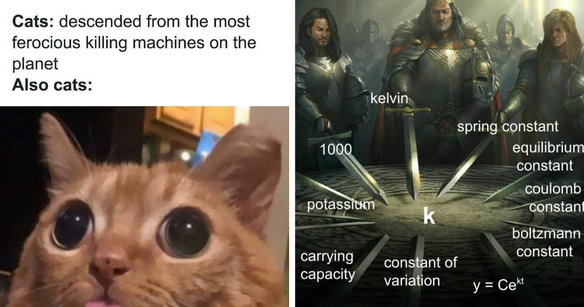 Hey Pandas, Post A Meme That Made You Laugh Out Loud | Bored Panda