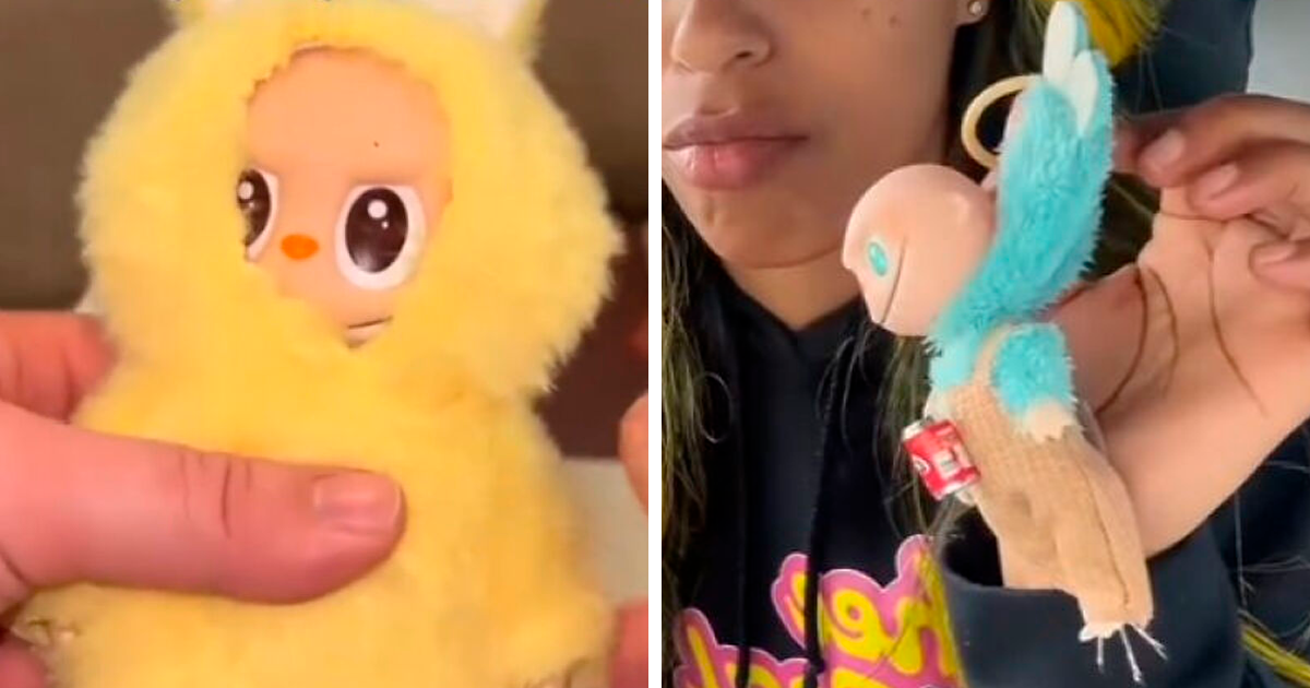 The Obsession With Labubu Continues: 50 People Who Decided To Save Some ...