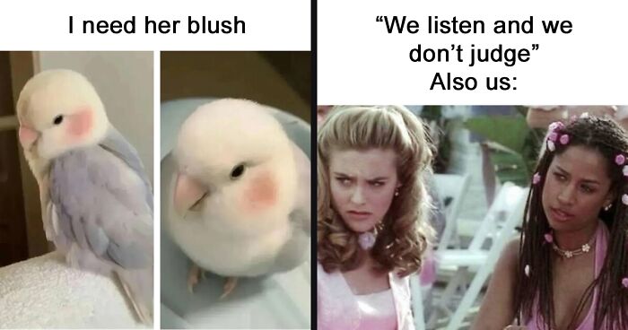 Situs Baca Memes