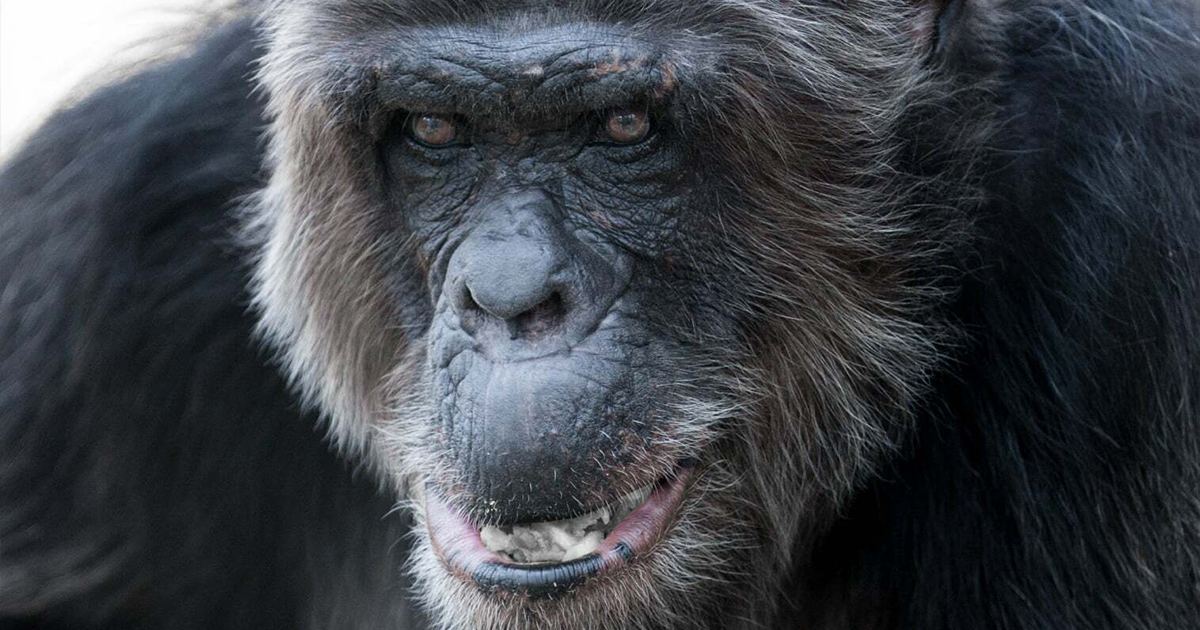 Wildlife Photographer Shared 17 Hilarious Animal Moments Caught On ...