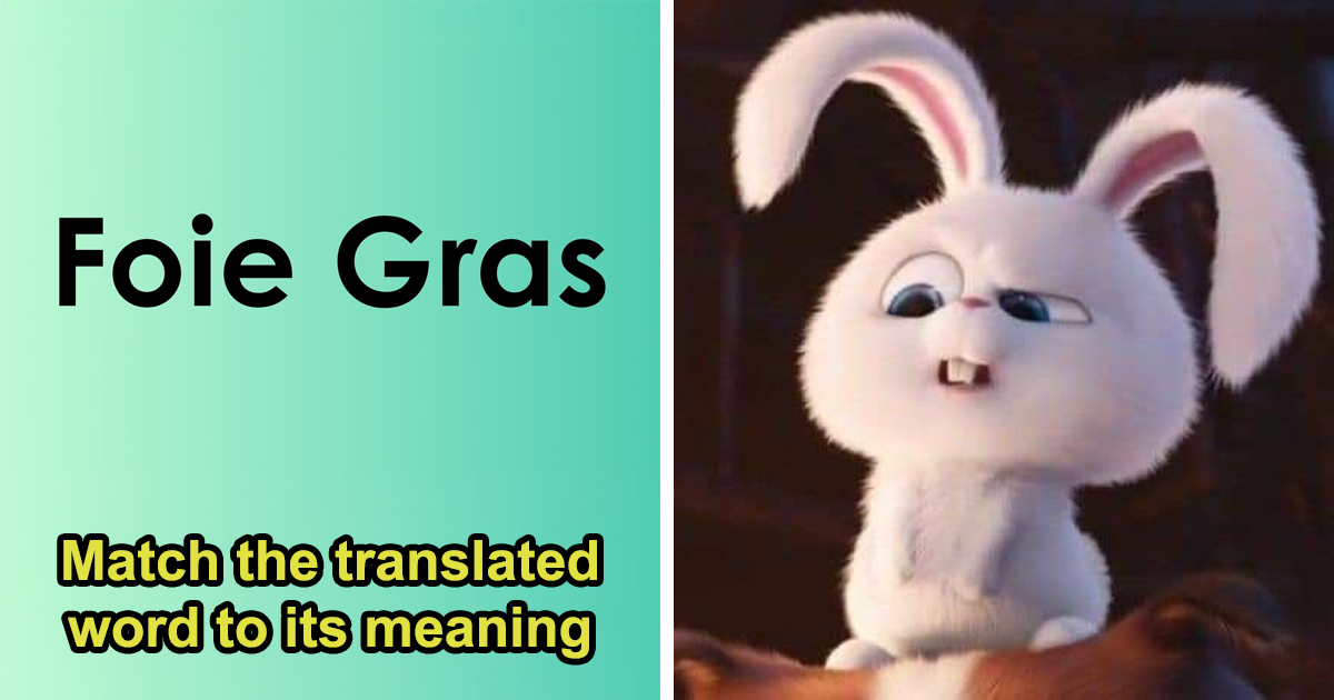 28 Literally Funny Translated Words That Will Make You Laugh — Can You ...