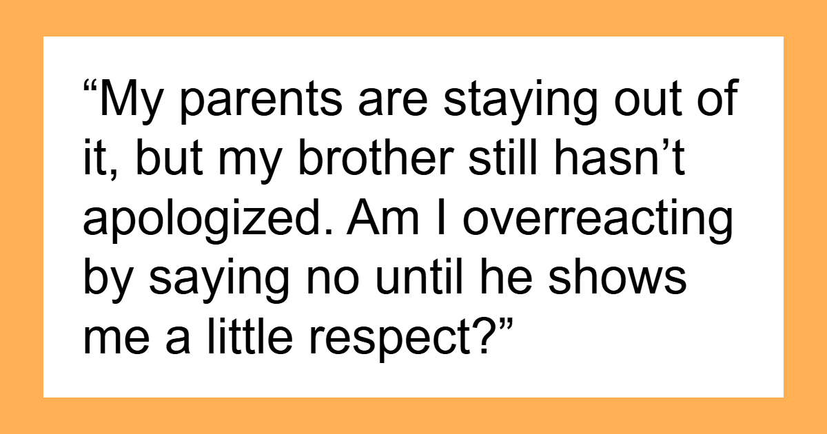 Child-Free Woman Mocked By Bro For Not Knowing "Real Responsibility ...