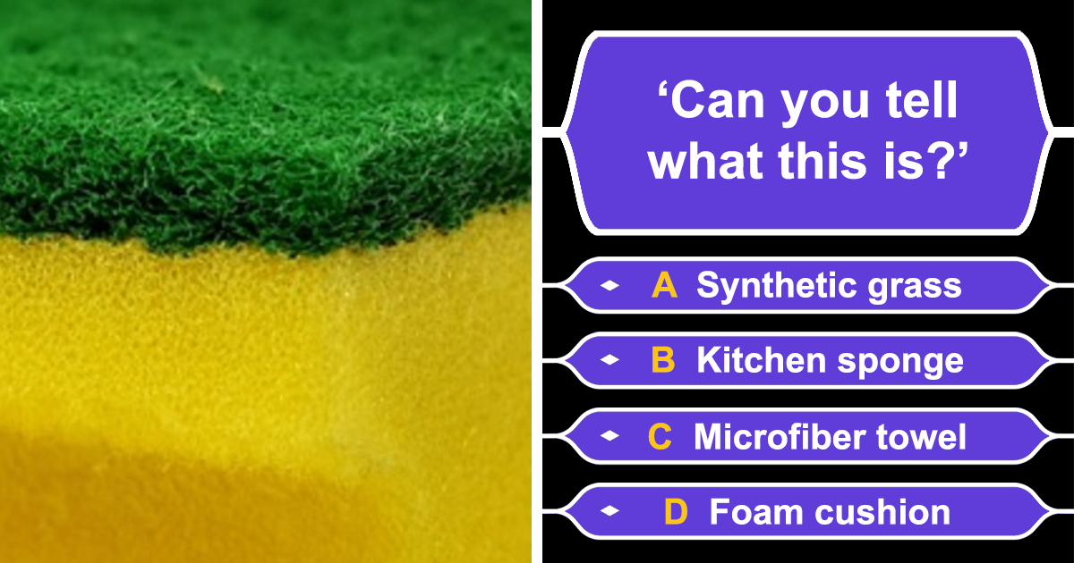 These 25 Zoomed-In Photos Will Definitely Trick Your Brain – Can You ...